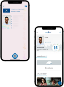 Cómo Consultar Mis Puntos En DGT | Trámites Online